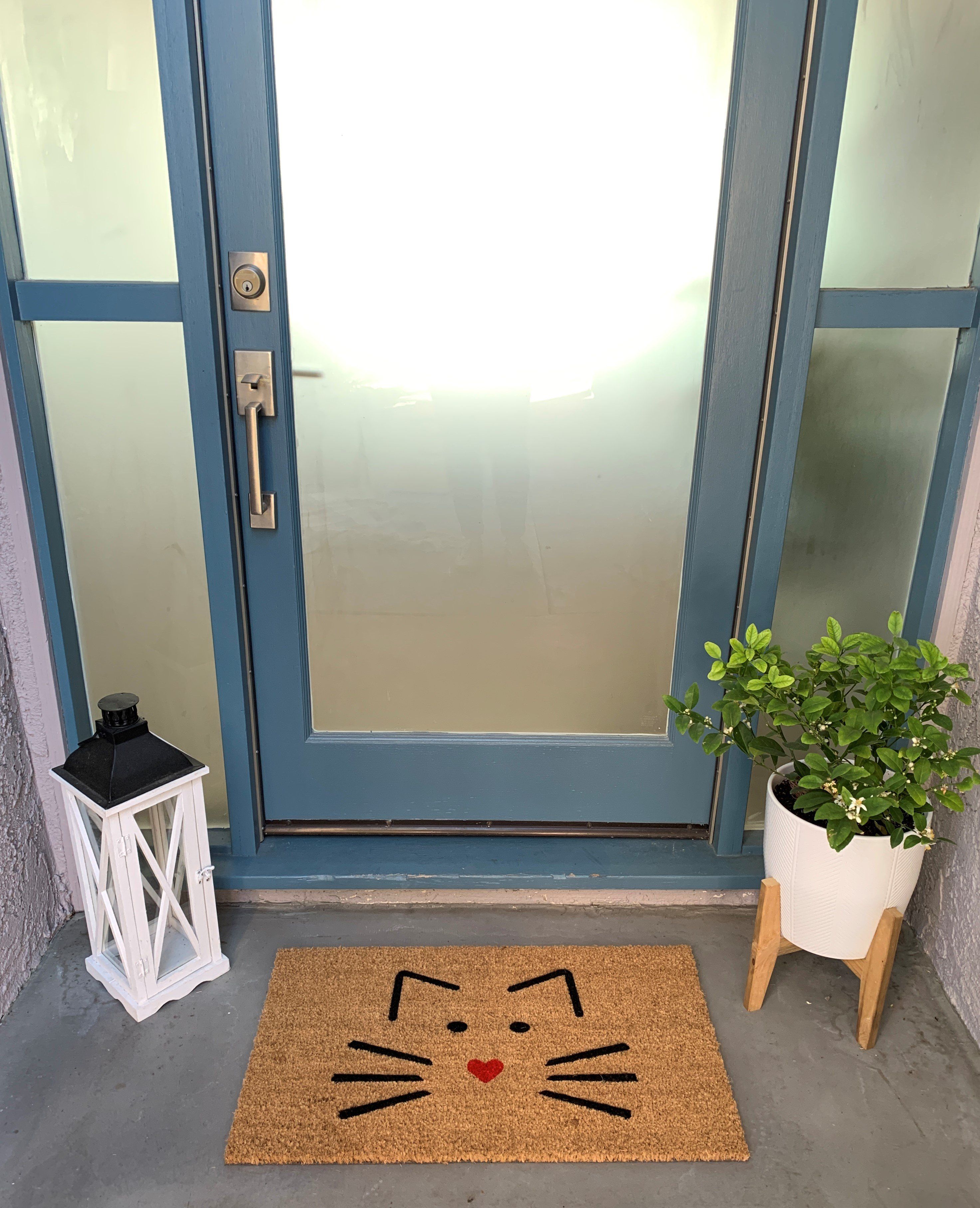 Cute Cat Face Outdoor Doormat
